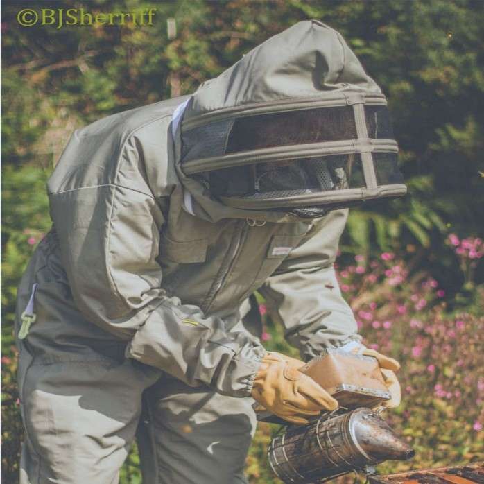 Bee Pro working BK | Talking With Bees